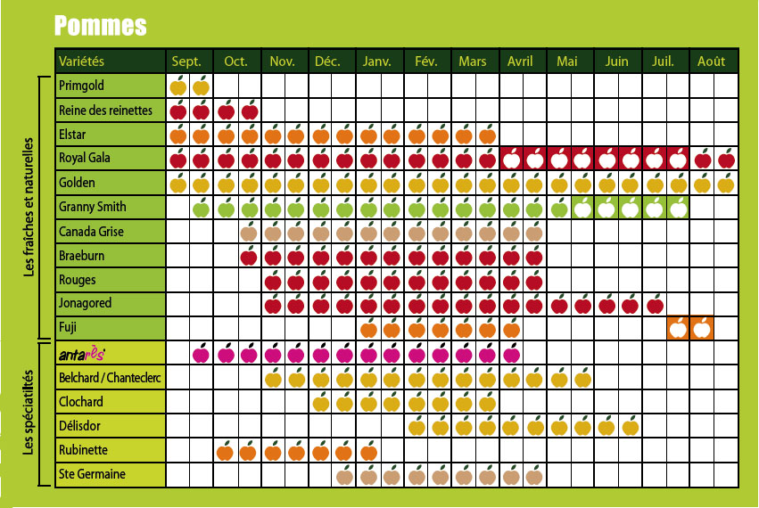 Notre calendrier : saisons de la vente des pommes et poires du Verger